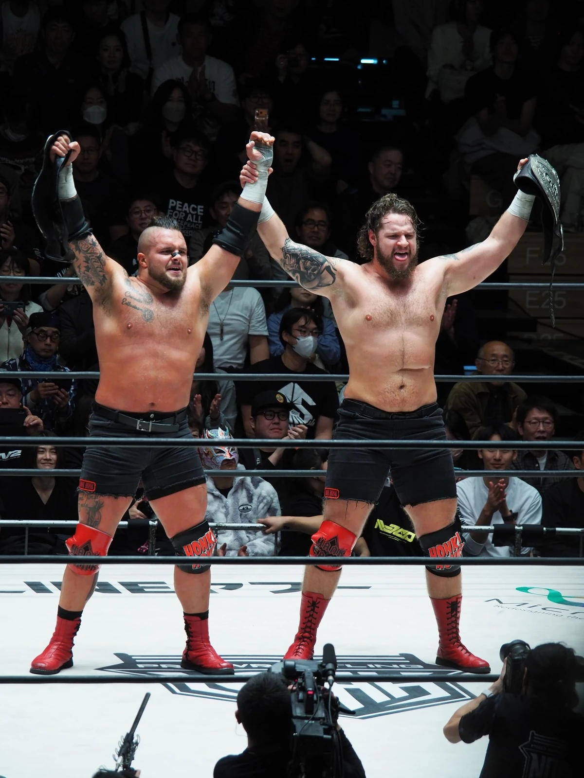 Hank and Tank | Puroresu System Wiki | Fandom