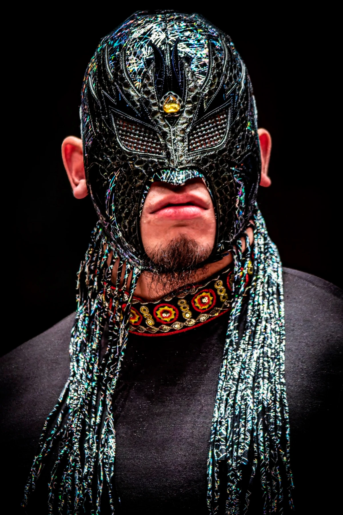 Shun Skywalker | Puroresu System Wiki | Fandom