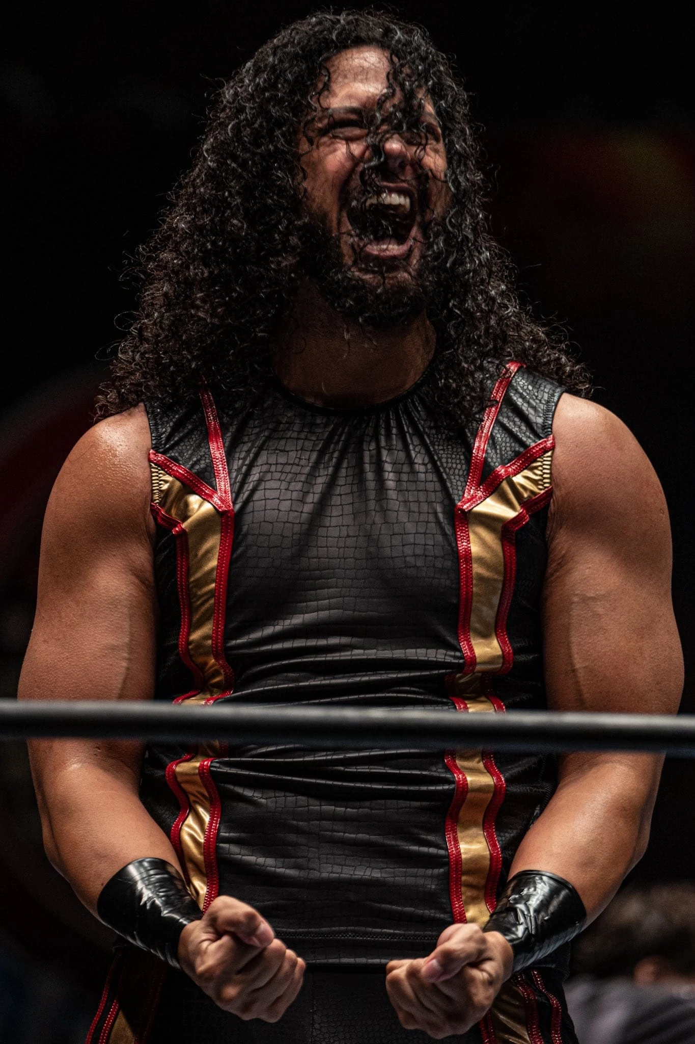 Hikuleo | Puroresu System Wiki | Fandom