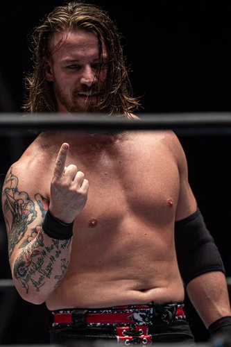 David Finlay | Puroresu System Wiki | Fandom