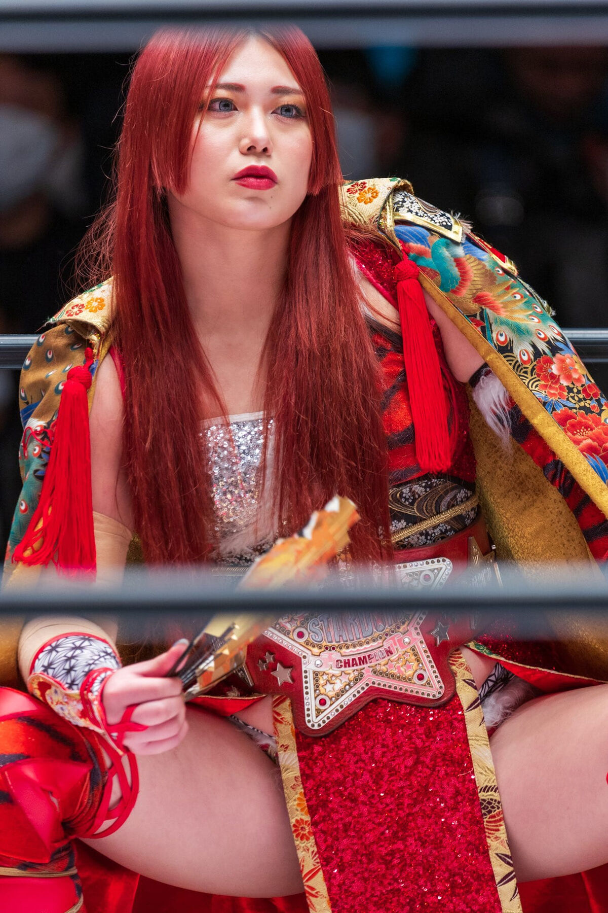 Maika Puroresu System Wiki Fandom