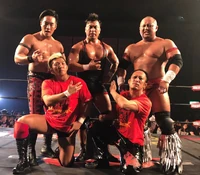 VerserK | Puroresu System Wiki | Fandom