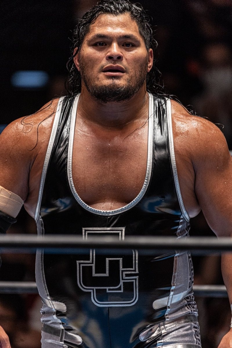 Jeff Cobb | Puroresu System Wiki | Fandom