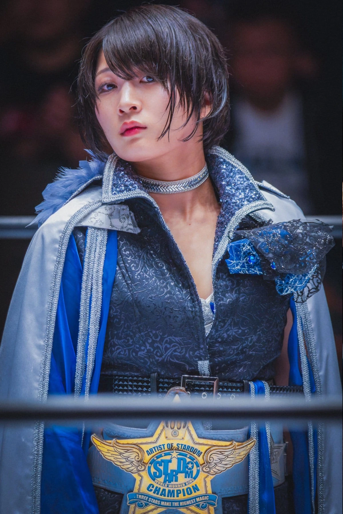 Saori Anou | Puroresu System Wiki | Fandom