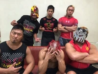 VerserK | Puroresu System Wiki | Fandom