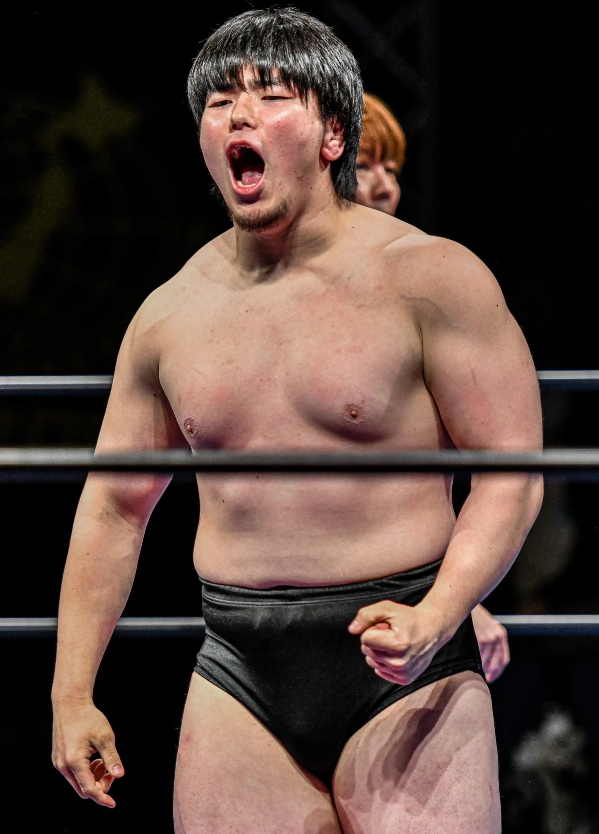 Dan Tamura | Puroresu System Wiki | Fandom