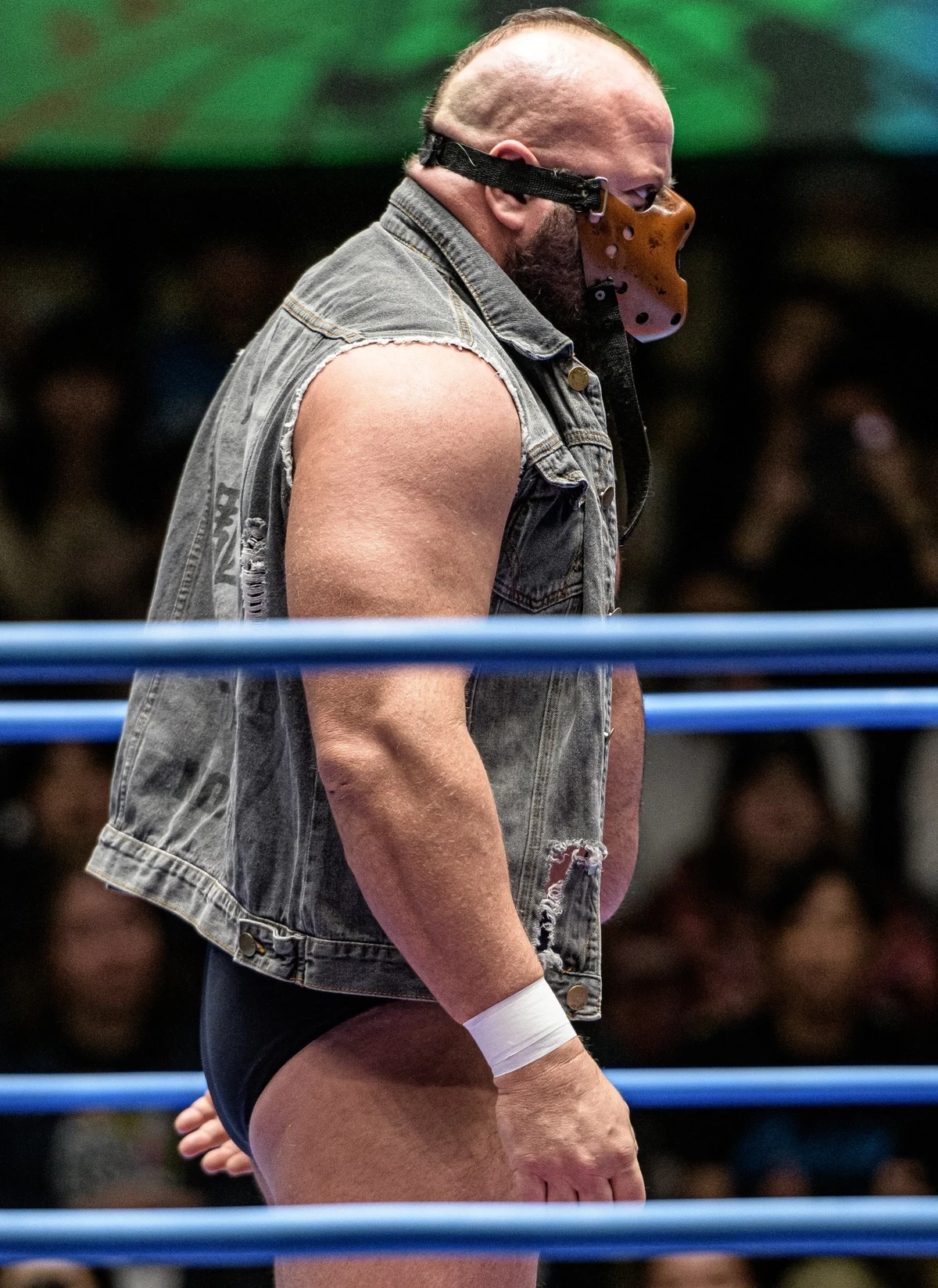 Hartley Jackson | Puroresu System Wiki | Fandom