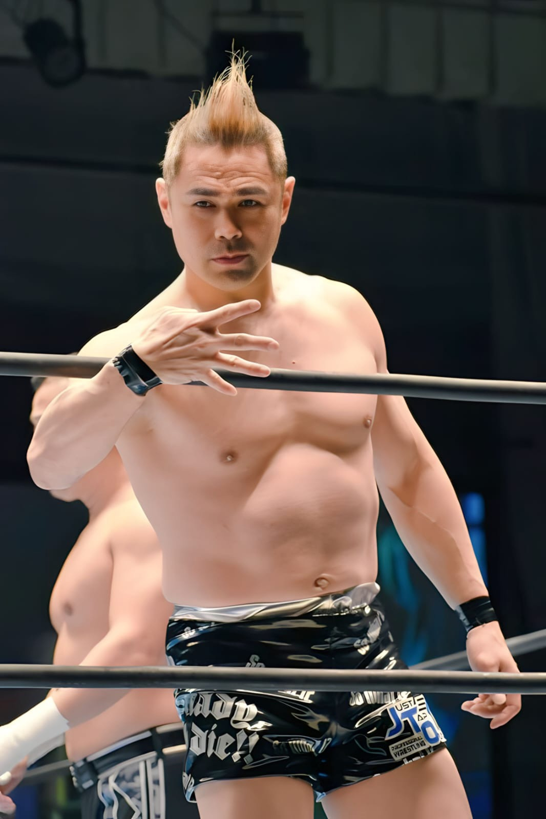 Category:Kojima-gun | Puroresu System Wiki | Fandom