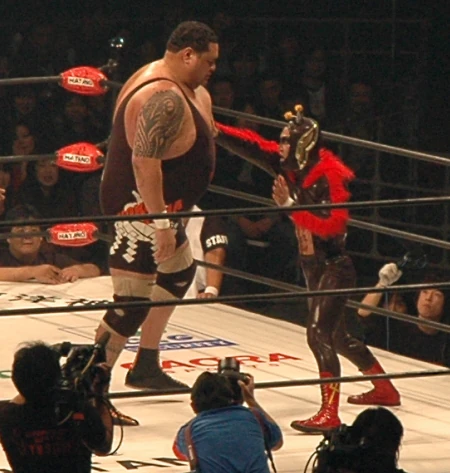 "Hollywood" Stalker Ichikawa Bosou 10 Match Series | Puroresu System ...