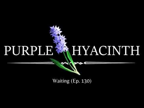 Waiting | Purple Hyacinth Wiki | Fandom