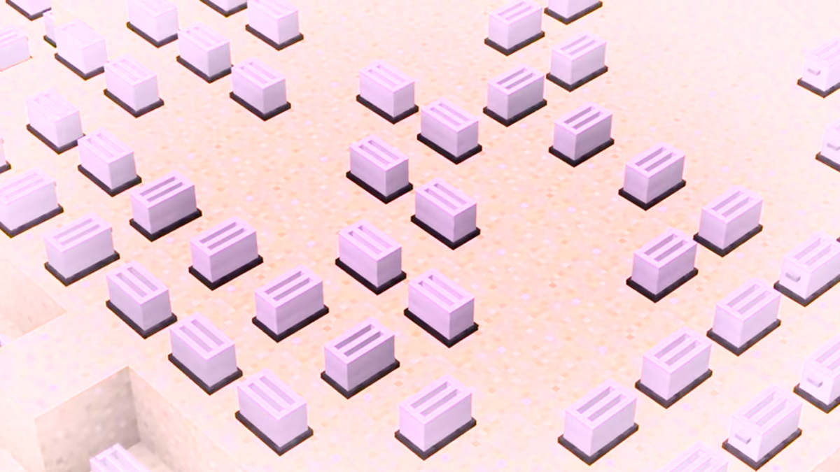 Purple Shep's Toaster Collection | Purple Sheep Wikia | Fandom