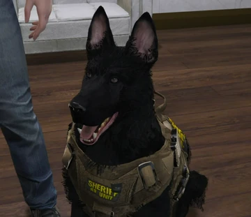 status dog unit