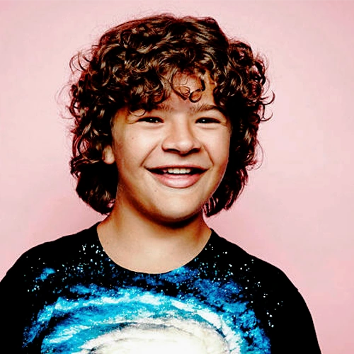 Quinn | Purry Productions Wikia | Fandom