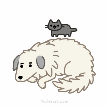 Jeph | Pusheenthecat Wiki | Fandom