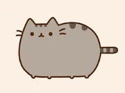 Facts about Pusheen | Pusheenthecat Wiki | Fandom