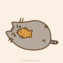 Gif De Pusheen El Gato