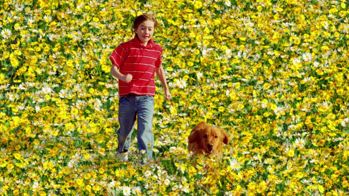 Digby/Gallery | Pushing Daisies Wiki | Fandom