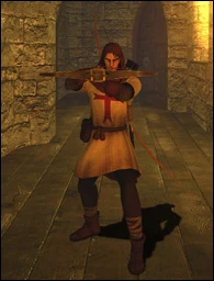 Archer | Pirates, Vikings and Knights II Wiki | Fandom