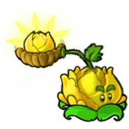 Sun Cabbage | PVZ: Fusion Wiki | Fandom