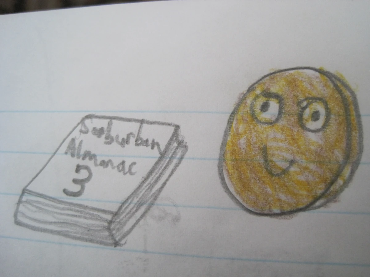 Wall-nut | Plants vs. Zombies Animated Series Wiki | Fandom