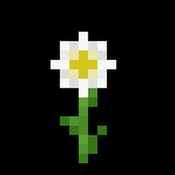 Oxeye Daisy Minecraft