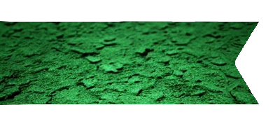 Mechanic (PvZ: BfN) | Plants vs. Zombies Character Creator Wiki | Fandom