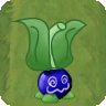 Dizzy Berry | Plants vs. Zombies Character Creator Wiki | Fandom