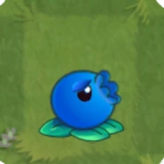 Blueberry Blaster | Plants vs. Zombies Character Creator Wiki | Fandom