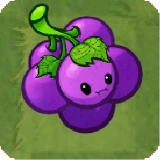 Sour Grapes (PvZ2) | Plants vs. Zombies Character Creator Wiki | Fandom