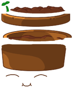 Flower Pot (PvZ2 JDFRG1) | Plants vs. Zombies Character Creator Wiki ...