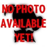 Shamrock (PvZ2) | Plants vs. Zombies Character Creator Wiki | Fandom