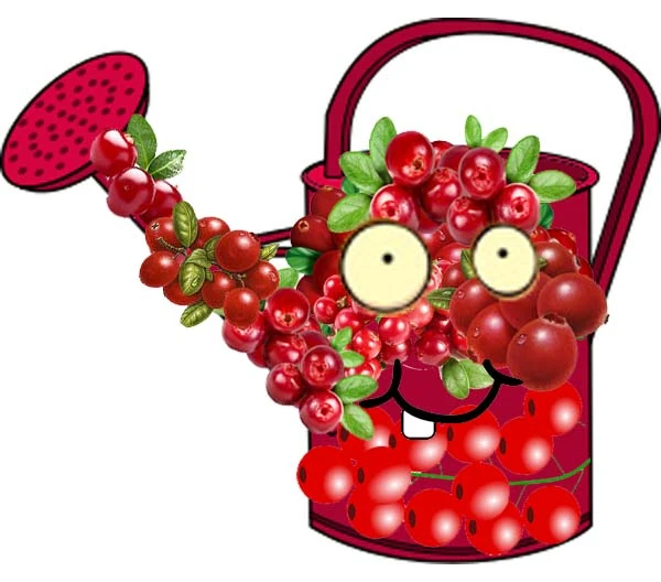 Watering Canberry | Plants vs. Zombies Character Creator Wiki | Fandom