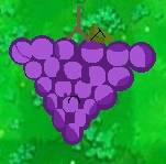 Grape Plant | Plants vs. Zombies Character Creator Wiki | Fandom