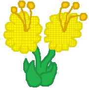 Swattle | Plants vs. Zombies Character Creator Wiki | Fandom