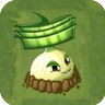 Spring Onion | Plants vs. Zombies Character Creator Wiki | Fandom