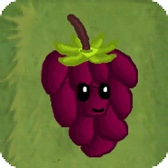 Grape Plant | Plants vs. Zombies Character Creator Wiki | Fandom