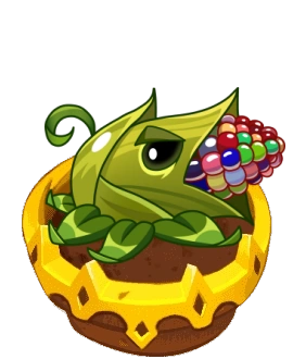 User blog:Miss Pembroke/CORN-FETTI POPPER'S 24 HOUR CHALLENGE 2025 ...