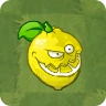 Plants vs. Zombies: Town Attack/Plants | Plants vs. Zombies Character ...