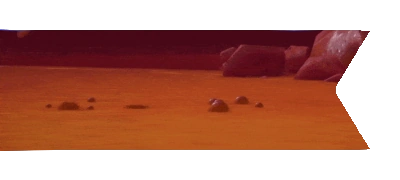 Dreadroot (PvZ: BfN) | Plants vs. Zombies Character Creator Wiki | Fandom