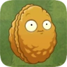 Wall-Nut | PvZDeluxe Wiki | Fandom