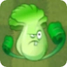 Bonk Choy | PvZDeluxe Wiki | Fandom
