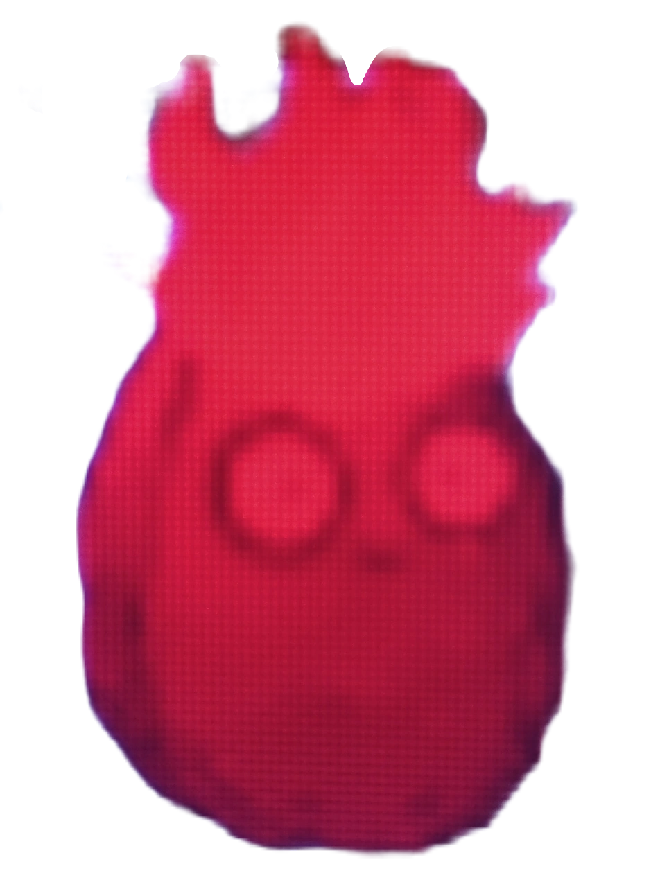 Explode-o-nut | Plants vs. Zombies: Hybrid Version Wiki | Fandom