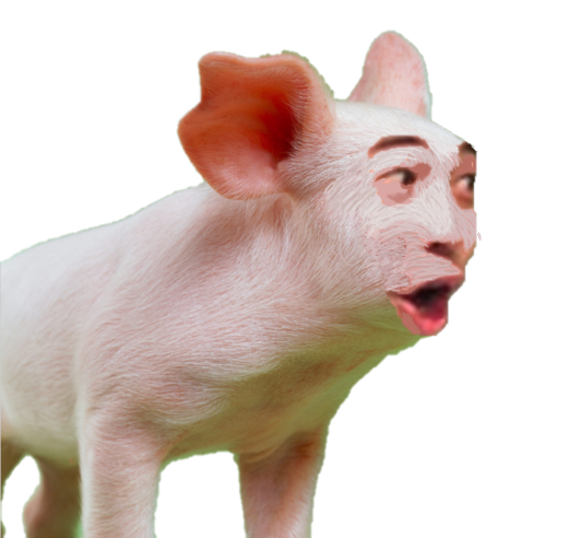 Pig pog | PvZ Super Joke Wiki | Fandom