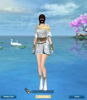 Character Customization - Official PWpedia