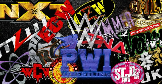 PWP 2019 Wiki | Fandom