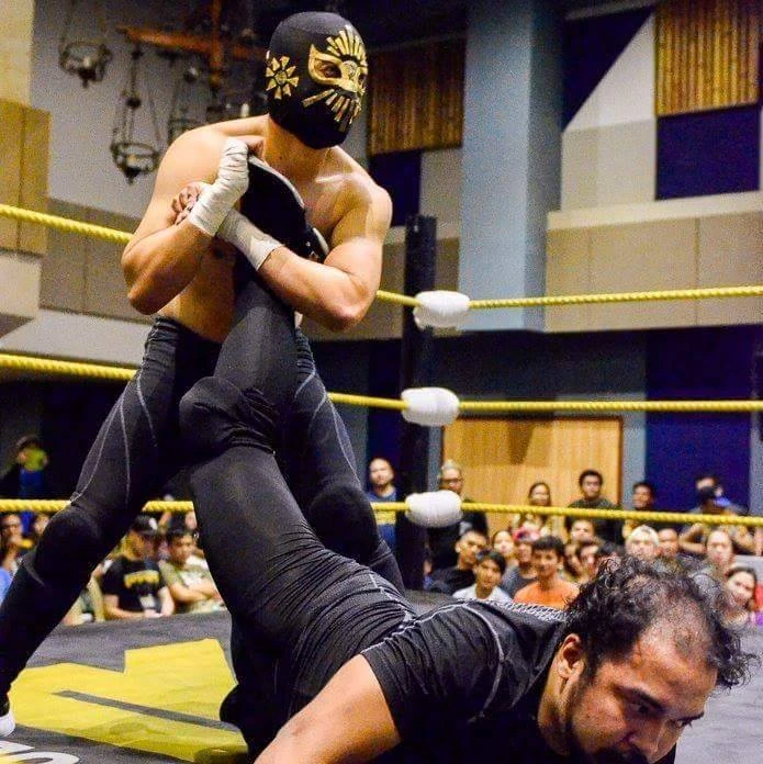 SANDATA | PWROfficial Wiki | Fandom