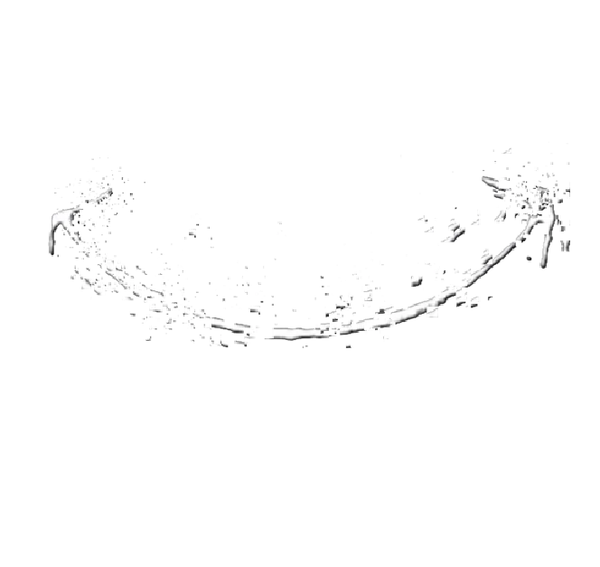 The Smile | Animal Cracker Wiki | Fandom