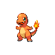 Charmander (pokémon) | Wiki PXG | Fandom