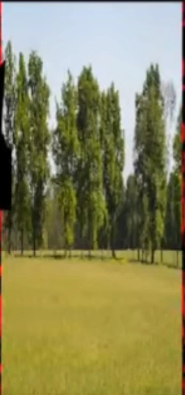 Effect 3 (Ненависть) | Pyrabox Wiki | Fandom