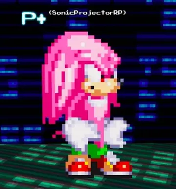 Transformation De Knuckles Le Garou Echidné